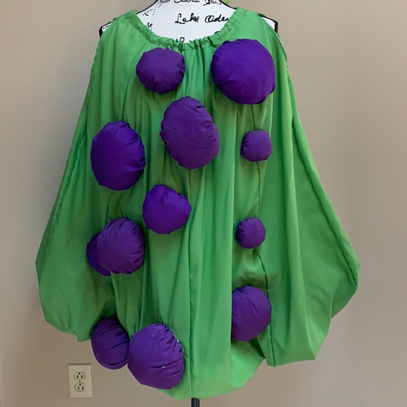 Other | Handmade Grape Costume One Size | Poshmark